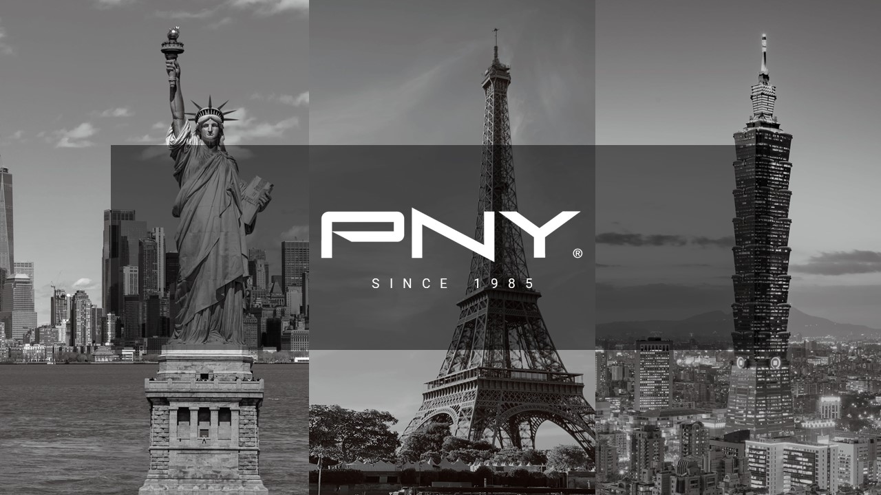 From being a small part of a system to more than half of it - PNY ...